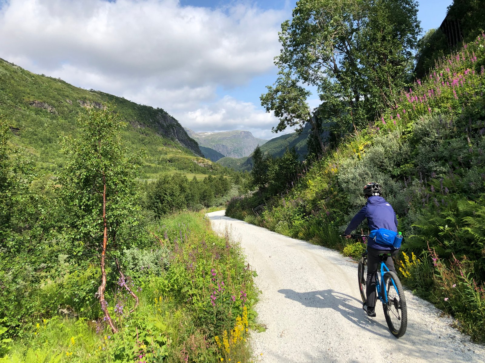 Flåm Railway guide - and how to book it yourself | Norway Insider